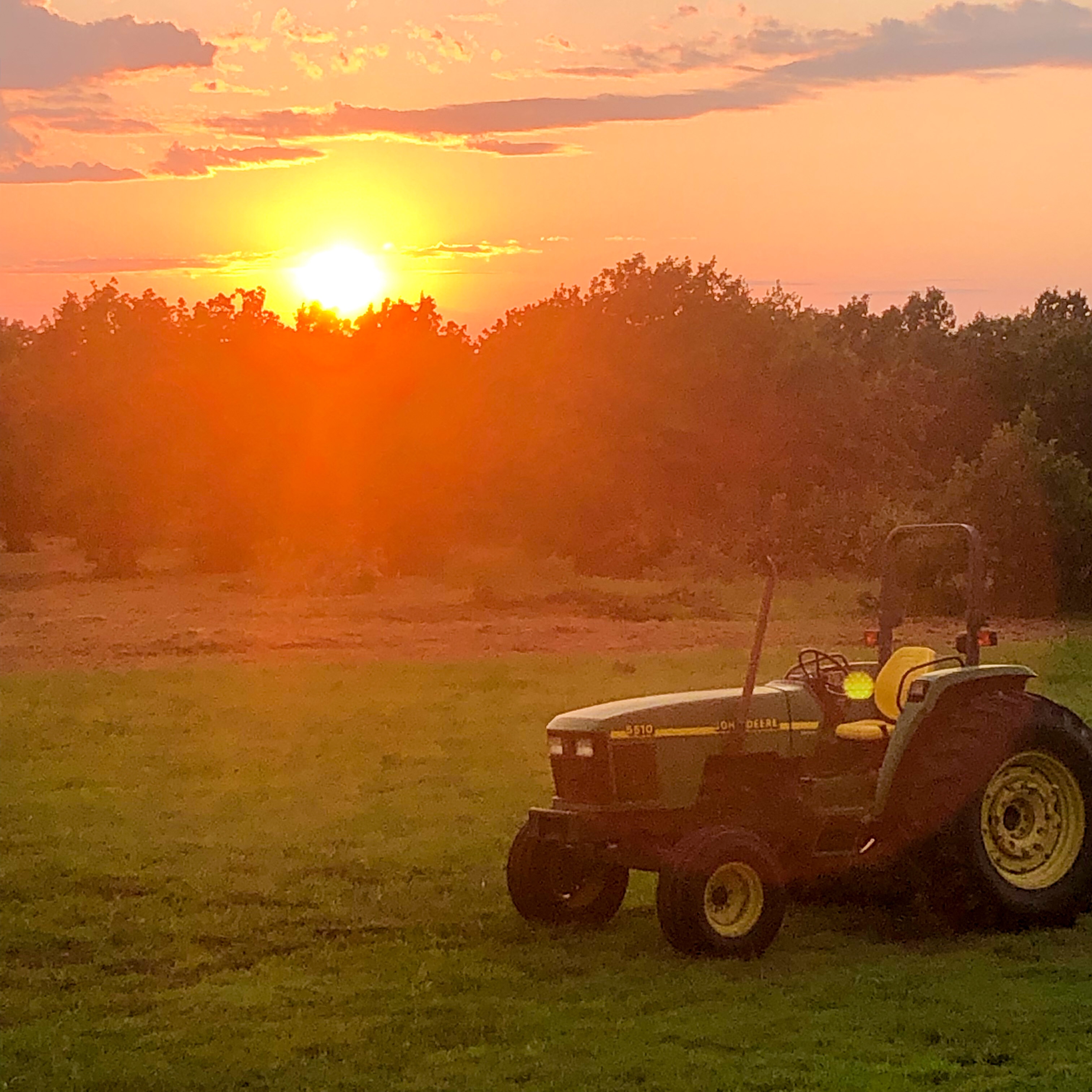 After the rain - Darbro Farms